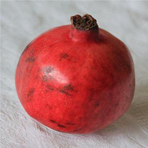 Gránátalma - Punica granatum - Wiandt Kertészet