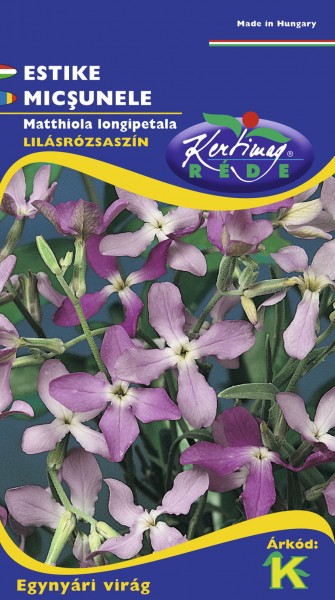 Estike virágmag - Matthiola bicornis - Virágmagok